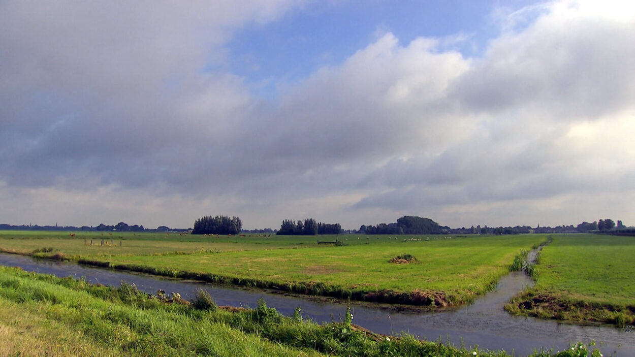 Hollands polder landschap – Nederlandse Organisatie voor Jacht en ...